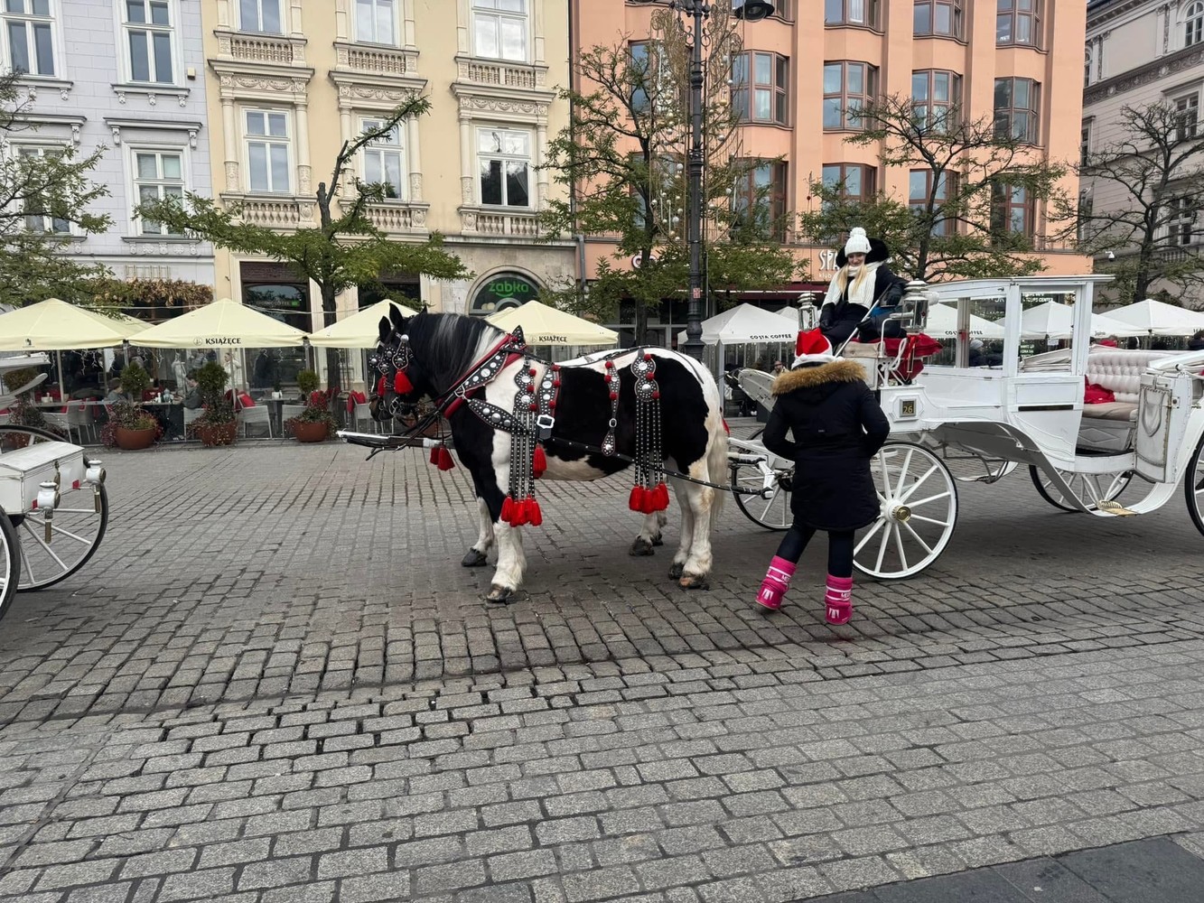 Dr. Tischner mówi jak jest. Cała prawda o dorożkach